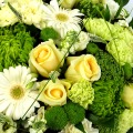 Luxury Funeral Posy 9" | Robinson's Flowers | Sympathy Flowers